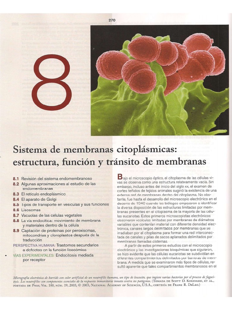 CAP 8 Karp 7ma | PDF