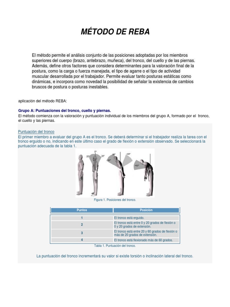 Aplicación Del Método Reba Rodilla Naturaleza Prueba Gratuita De