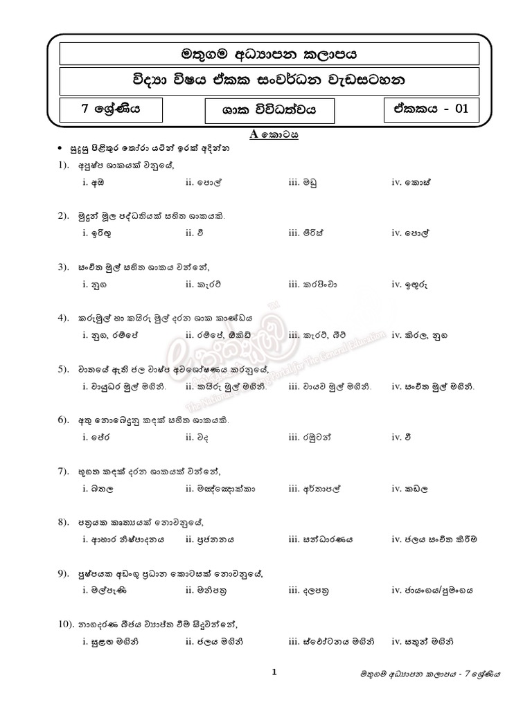 Lesson 1 | PDF