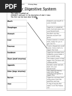 Hydration Handout | PDF | Dehydration | Water