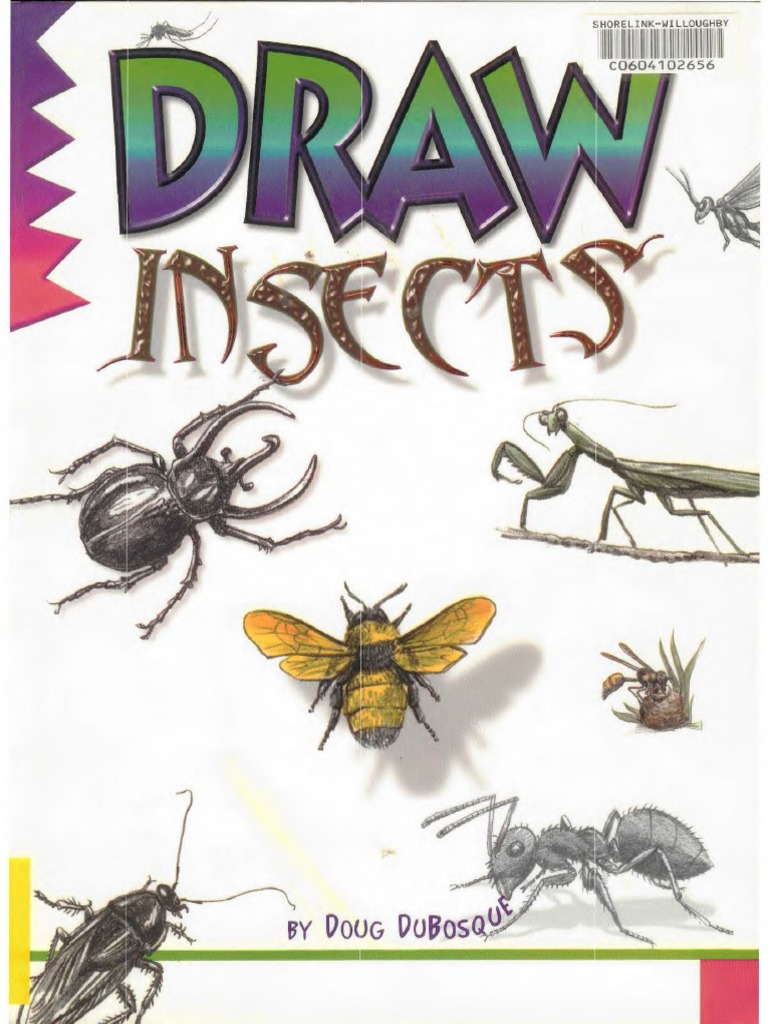 Draw Insects - by Doug Dubosque | PDF | Fly | Dragonfly