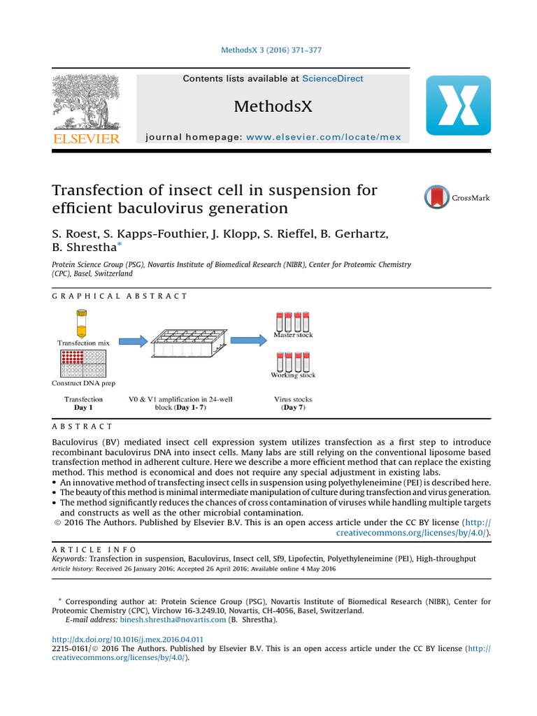 Transfection of Insect Cell in Suspension For Effi | PDF | Transfection ...
