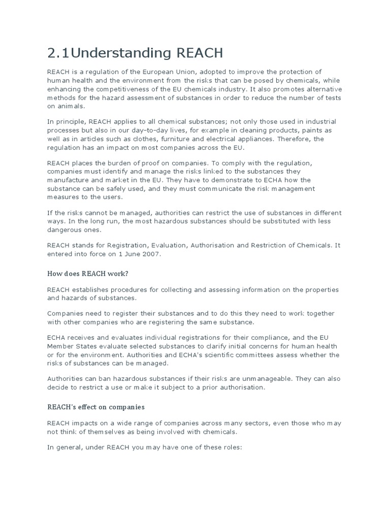 2.1 Understanding REACH: How Does REACH Work? | PDF | Safety | Business