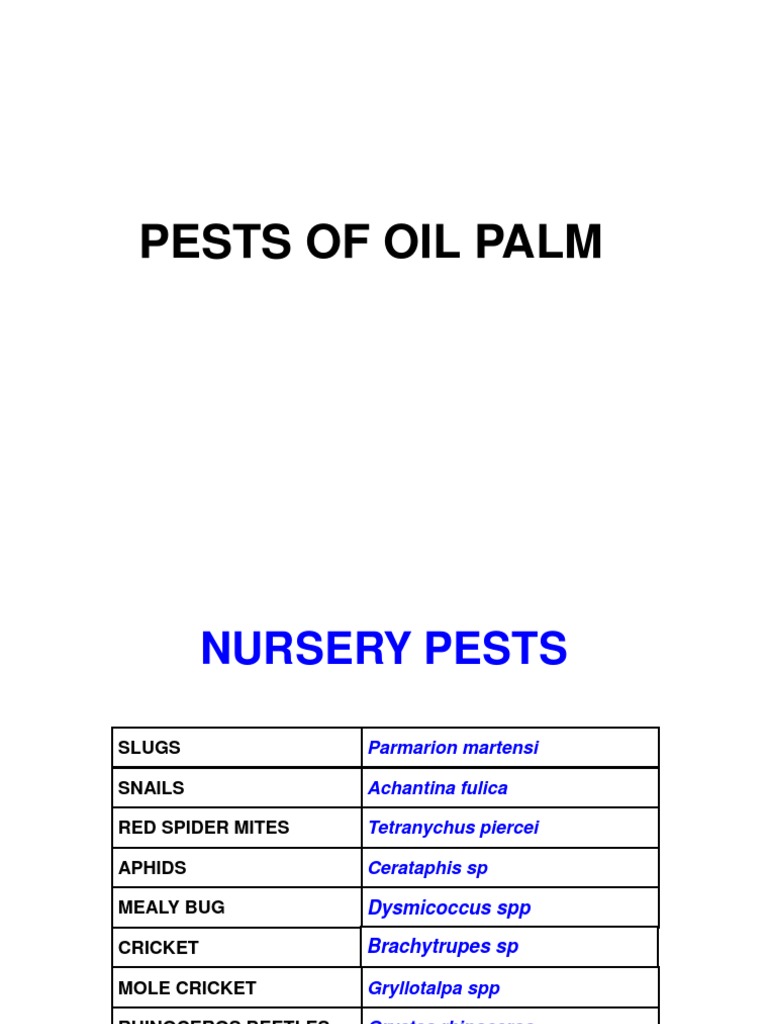 PESTS OF OIL PALM Pictures Pps - Pps | PDF | Pig | Pest (Organism)