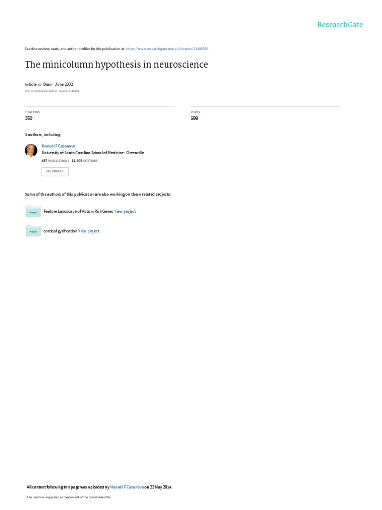 The Minicolumn Hypothesis in Neuroscience | PDF | Pyramidal Cell ...