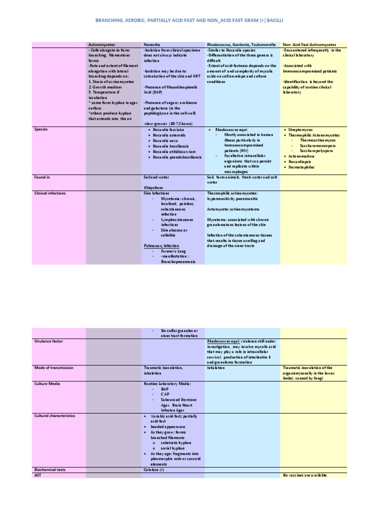 Branching Acid-Fast Bacilli Overview | PDF | Microorganism | Microbiology