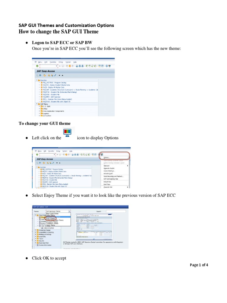 SAP GUI Theme Change Instructions | PDF