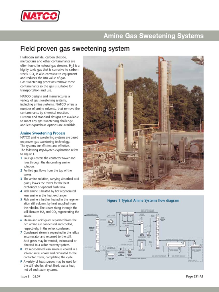 Amine Gas Sweetening | PDF | Natural Gas | Chemical Process Engineering