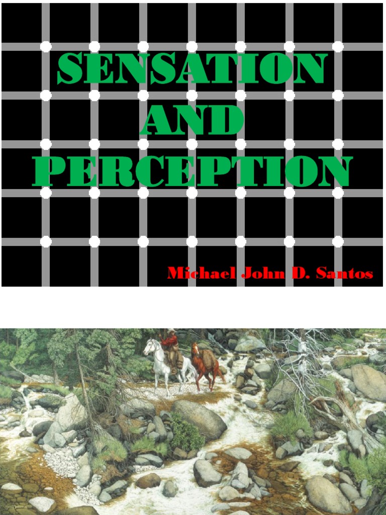 Perception For Students | PDF | Senses | Perception