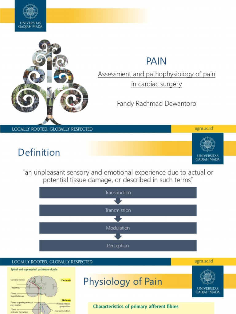 Pain Management in Cardiac Surgery | PDF | Pain | Surgery