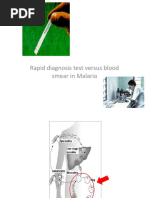 Nugent Score Interpretation | PDF | Clinical Pathology | Prokaryote