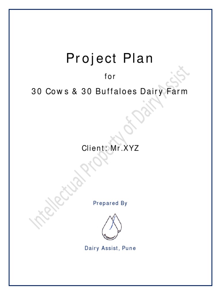 Dairy Farm Project Plan: 30 Cows & 30 Buffaloes | PDF | Dairy Cattle | Calf