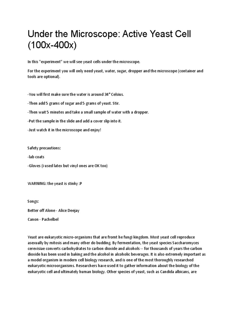 Under The Microscope Active Yeast Cell 100x 400x Pdf