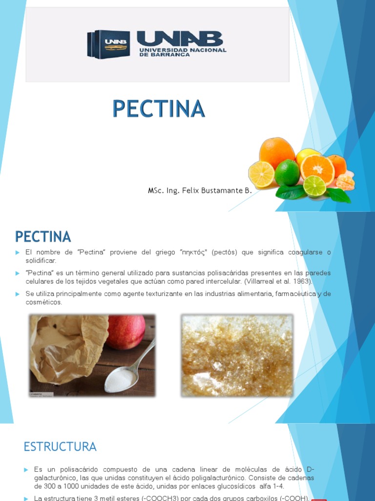 Estructura y usos de la pectina | PDF | Ácido carboxílico | Ácido