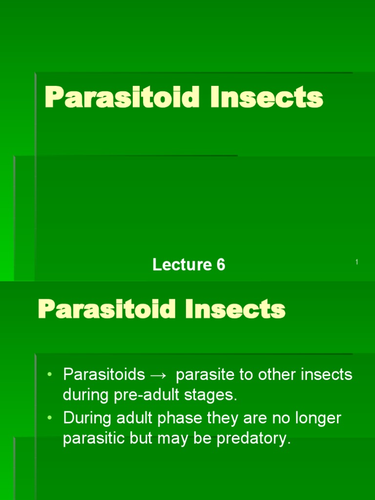 06 Parasitoid Insects | PDF | Hymenoptera | Insects