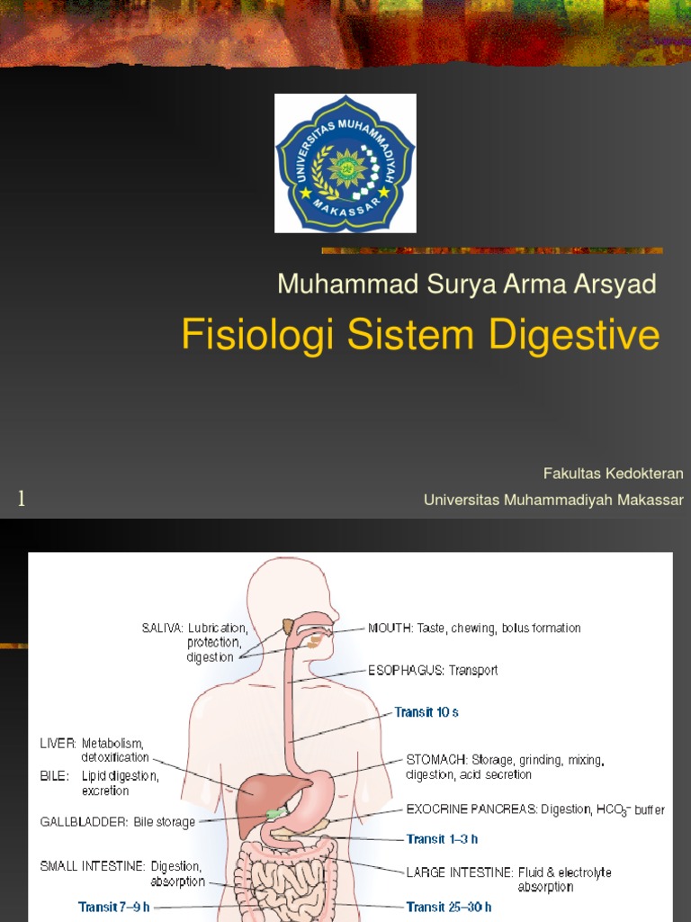 Fisiologi Sistem Penghadaman Manusia | PDF | Wellness | Science ...