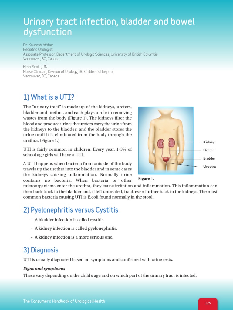 Urinary Tract Infection, Bladder and Bowel Dysfunction: 1) What Is A ...
