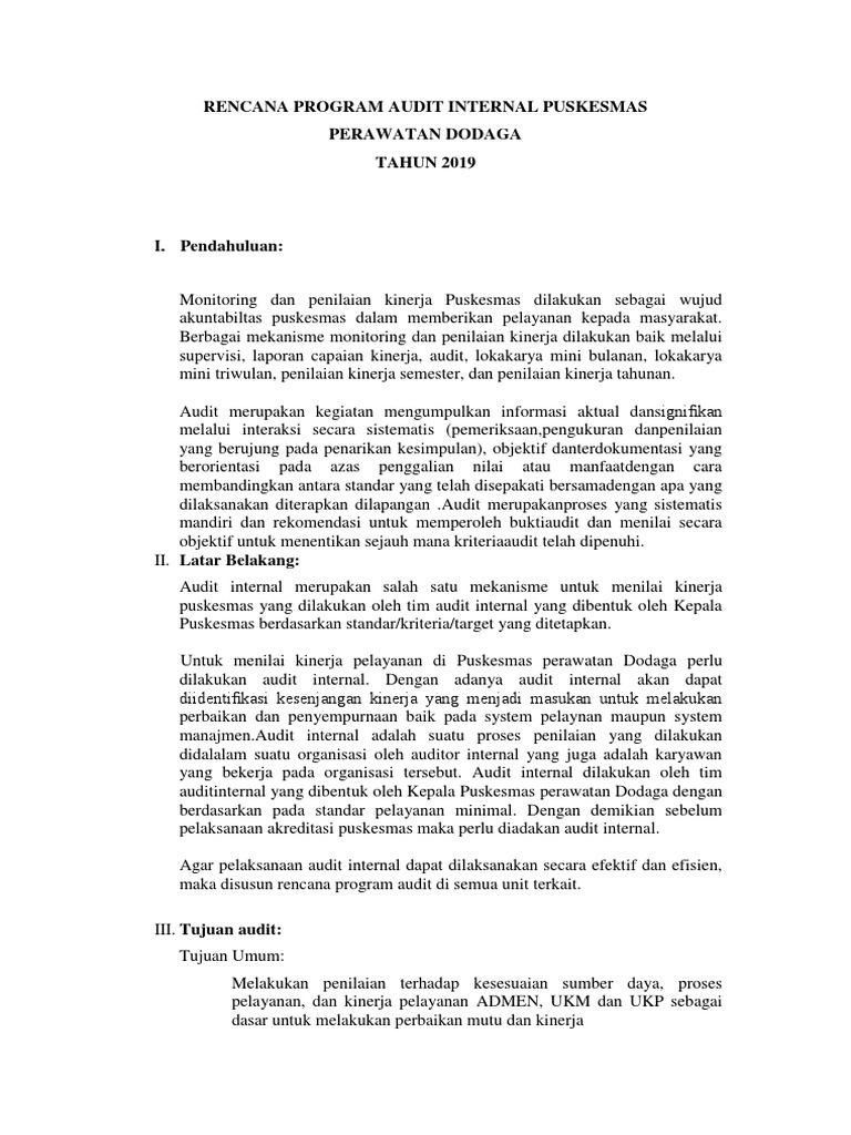 Contoh Rencana Program Audit Internal Puskesmas Tahunan | PDF