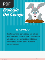 Ciclo de Vida del Conejo para Niños | PDF
