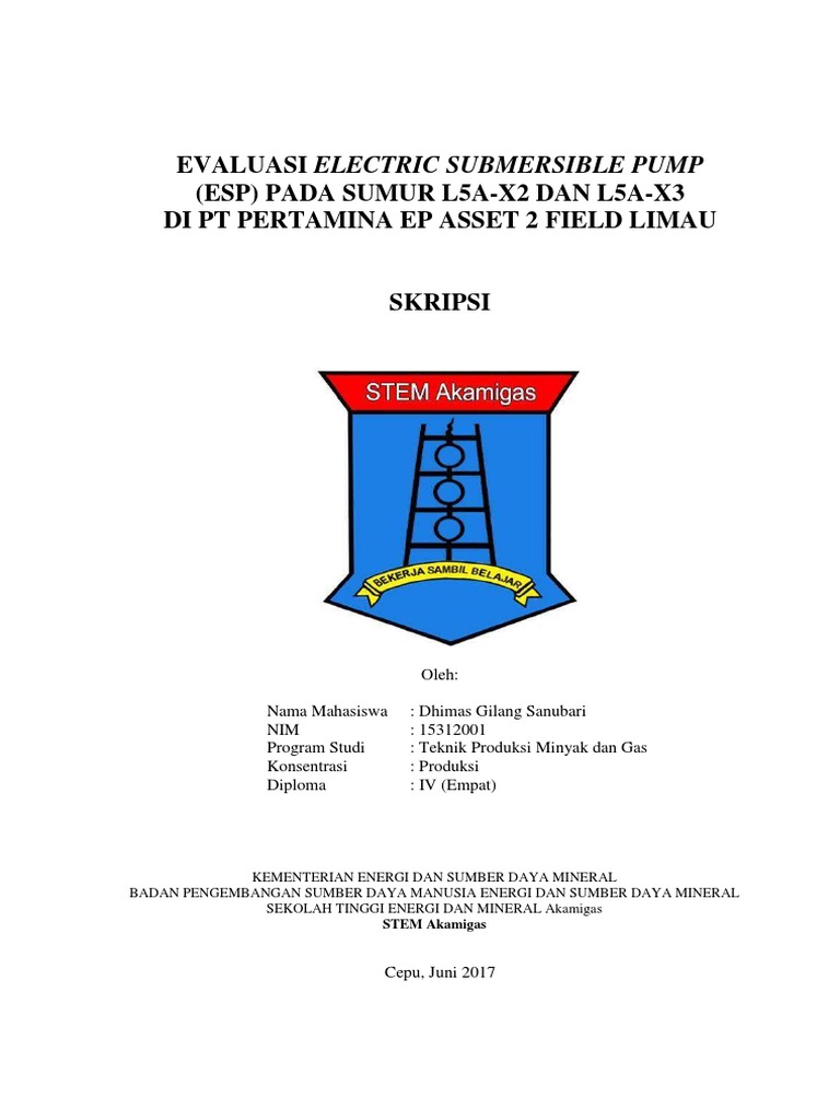 Evaluasi - Electric - Submersible - Pump - Esp - P Dengan Pipesim PDF | PDF
