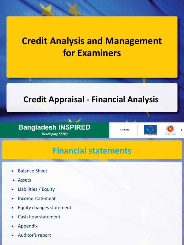 Credit Appraisal - Financial Analysis - PPTX Day2 | PDF | Cash Flow ...