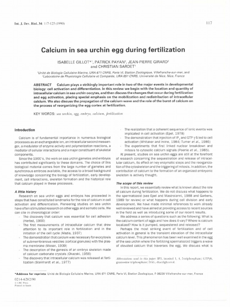 Calcium's Role in Sea Urchin Fertilization | PDF | Endoplasmic ...