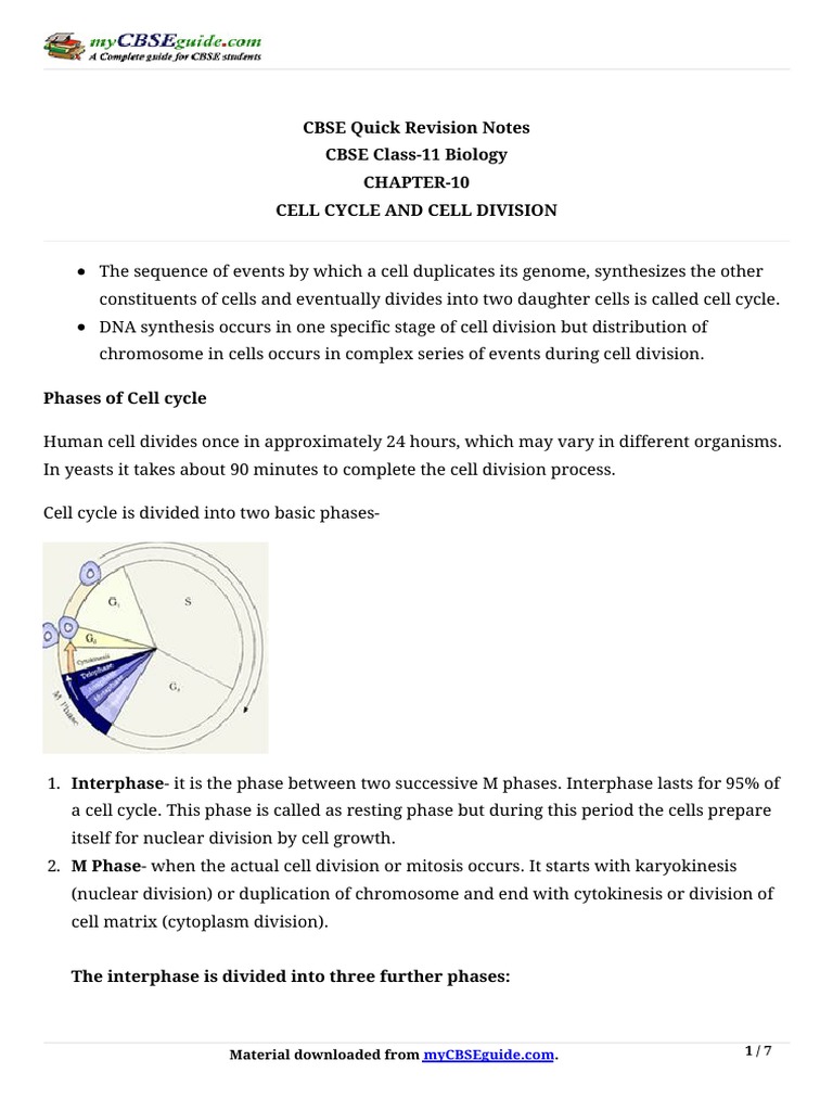 CBSE Class 11 Biology: Cell Cycle & Division | PDF | Meiosis | Mitosis