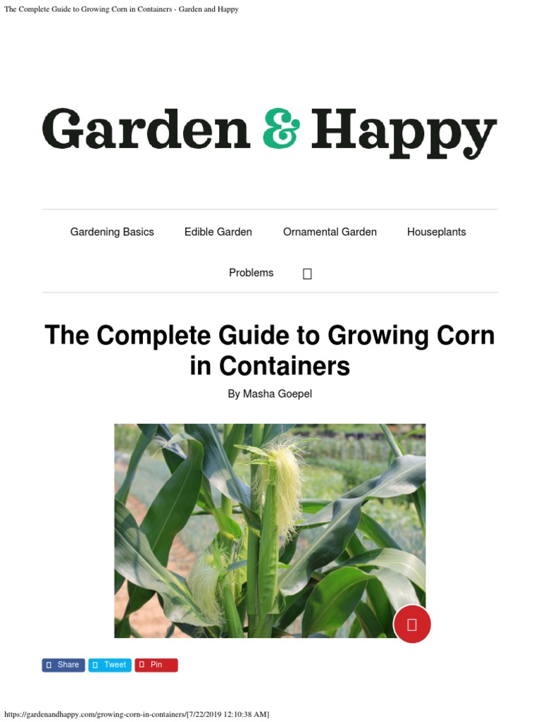 The Complete Guide To Growing Corn in Containers - Garden and Happy ...