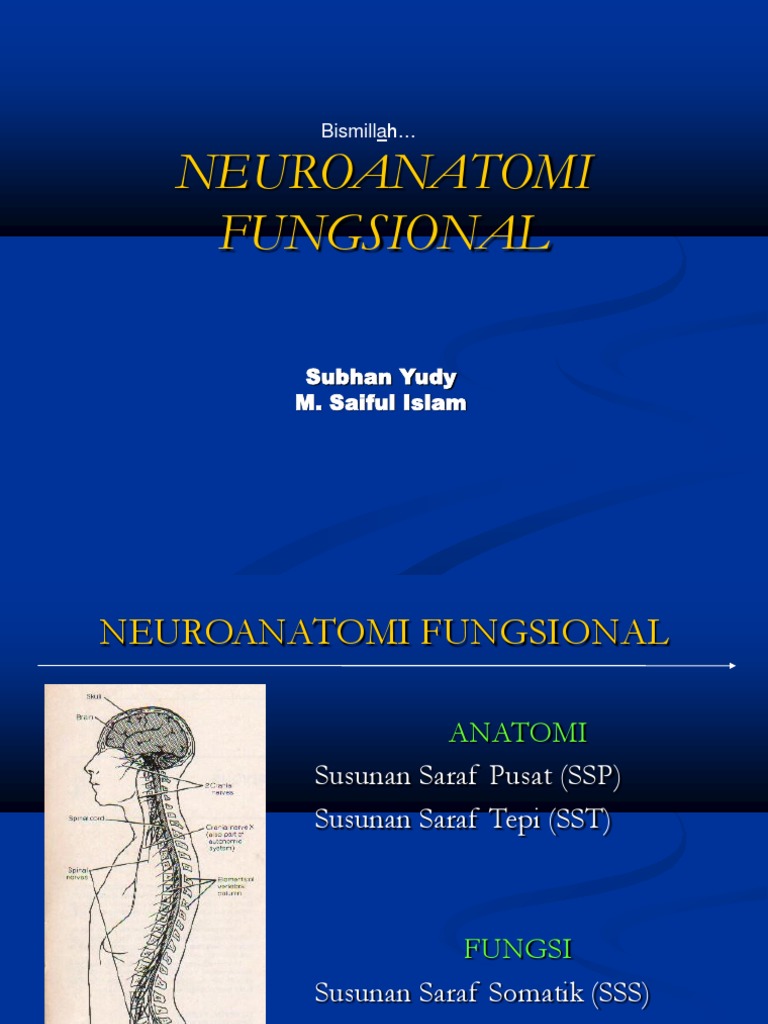 Neuroanatomi - Fungsional s.ppt-1