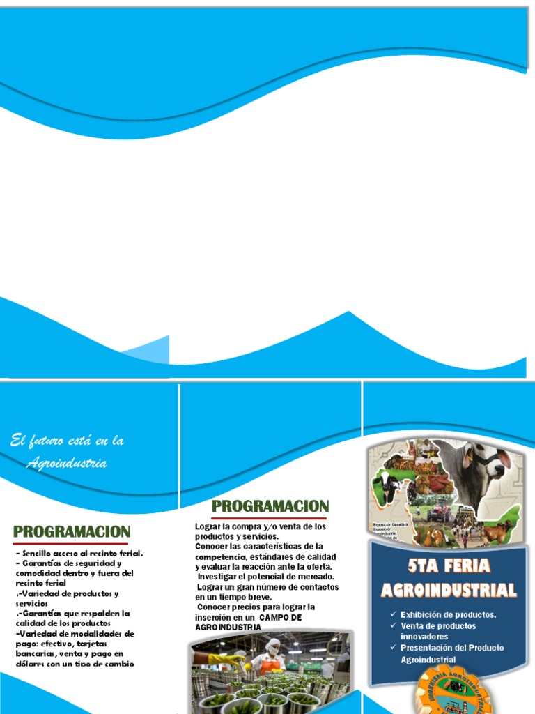 Plantilla Triptico Modelo | PDF