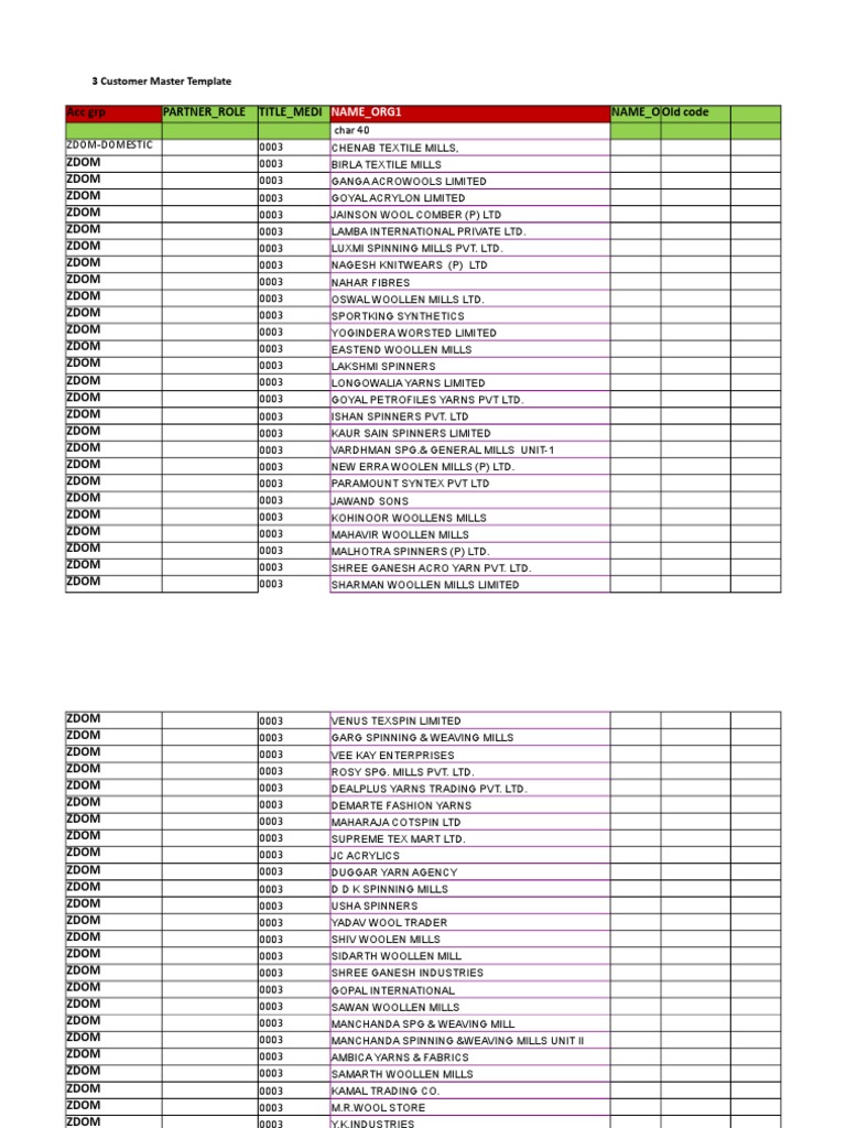 Customer Master Template | PDF | Textile Manufacturing | Woolen
