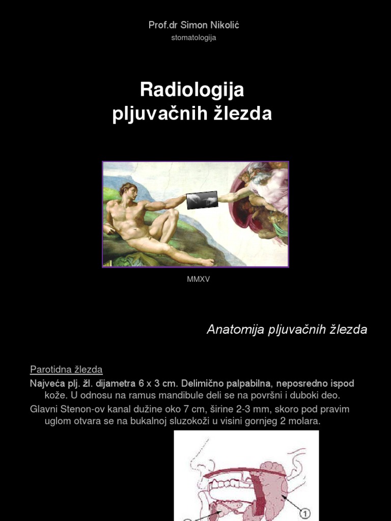 Pljuvacne Zlezde | PDF