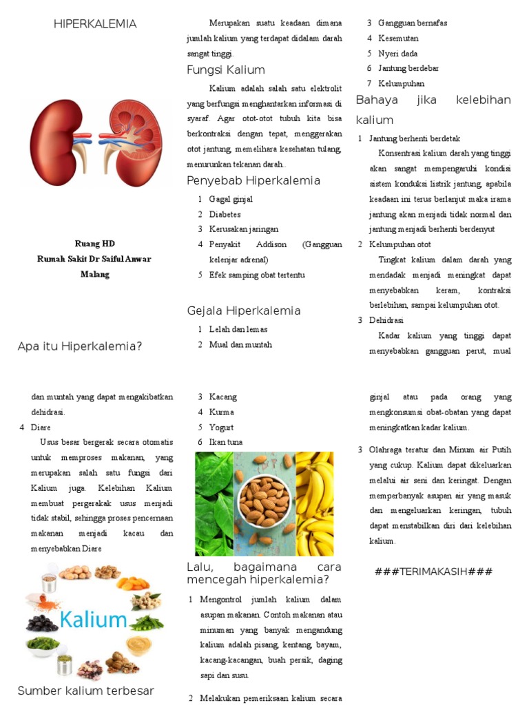 Leaflet CKD | PDF