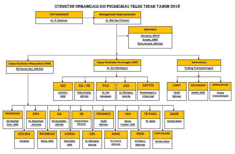 Struktur Organisasi Iso | PDF