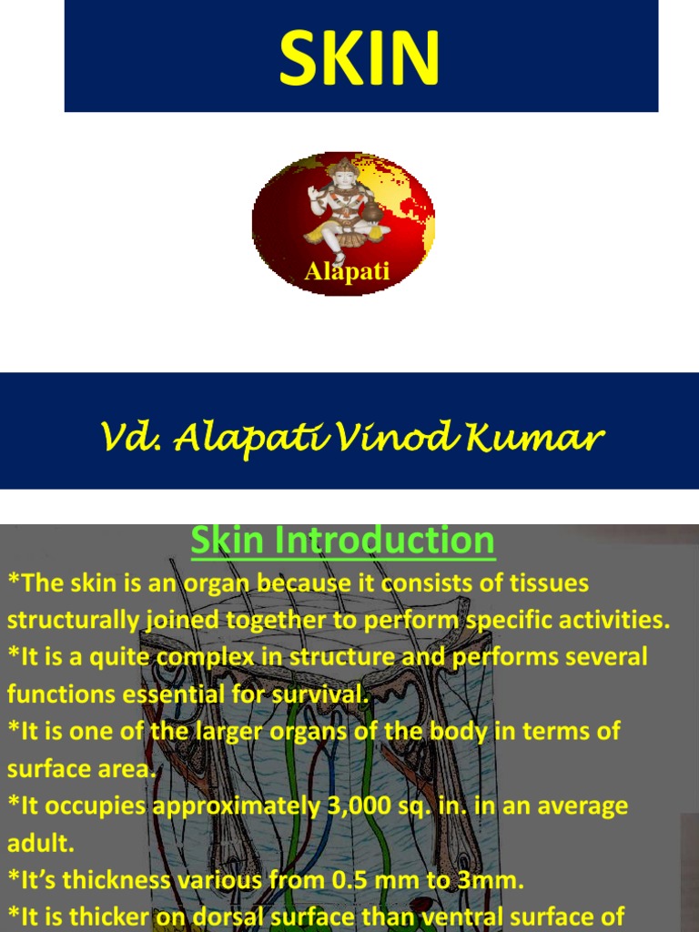 9.skin & Temp | PDF | Skin | Hair