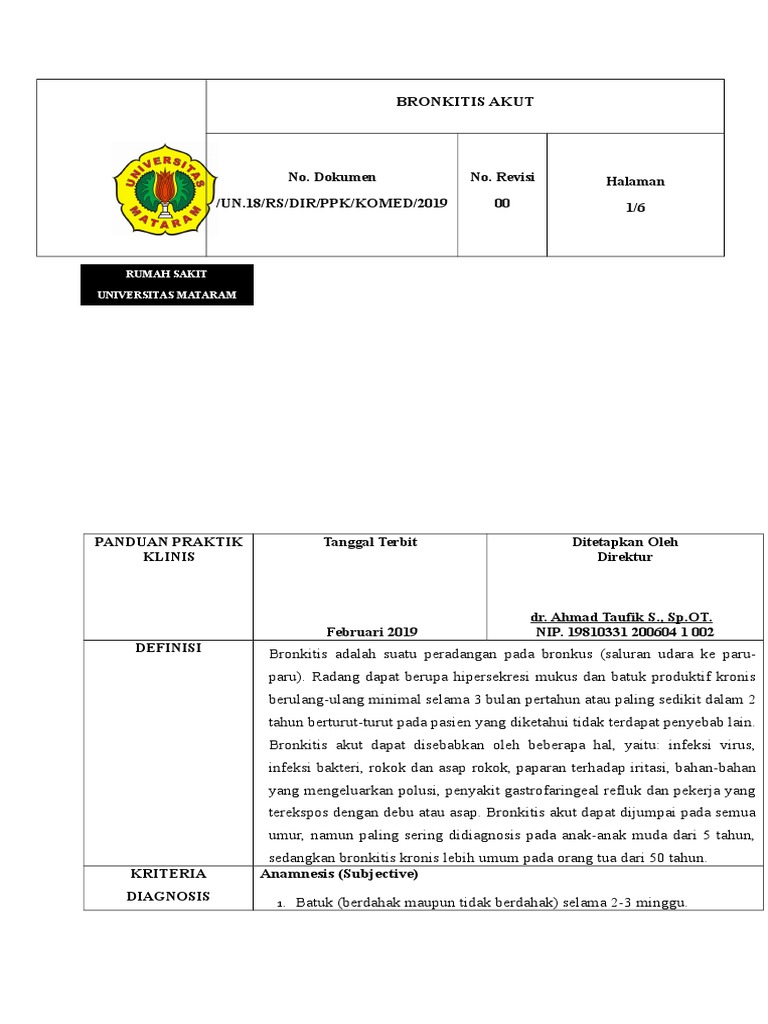 PPK Bronkitis Akut Rs Unram | PDF