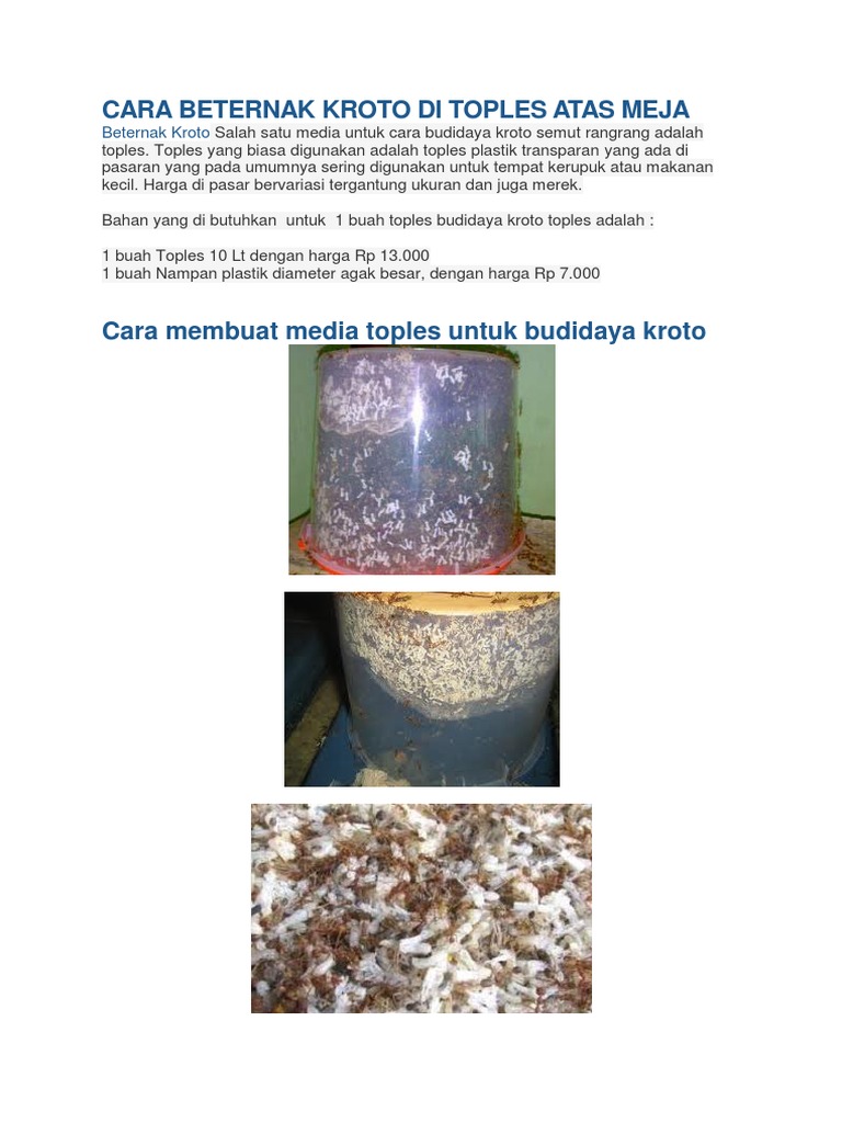 Cara Berternak Kroto Telur Semut Rangran | PDF