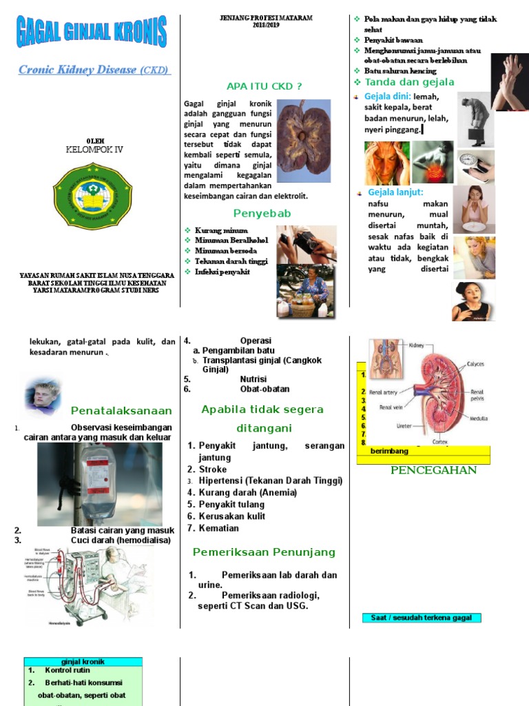 Leaflet CKD | PDF