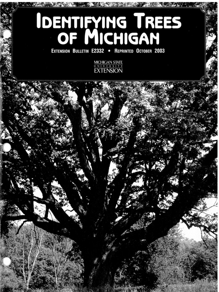 Identifying Trees of Michigan (E2332) | PDF