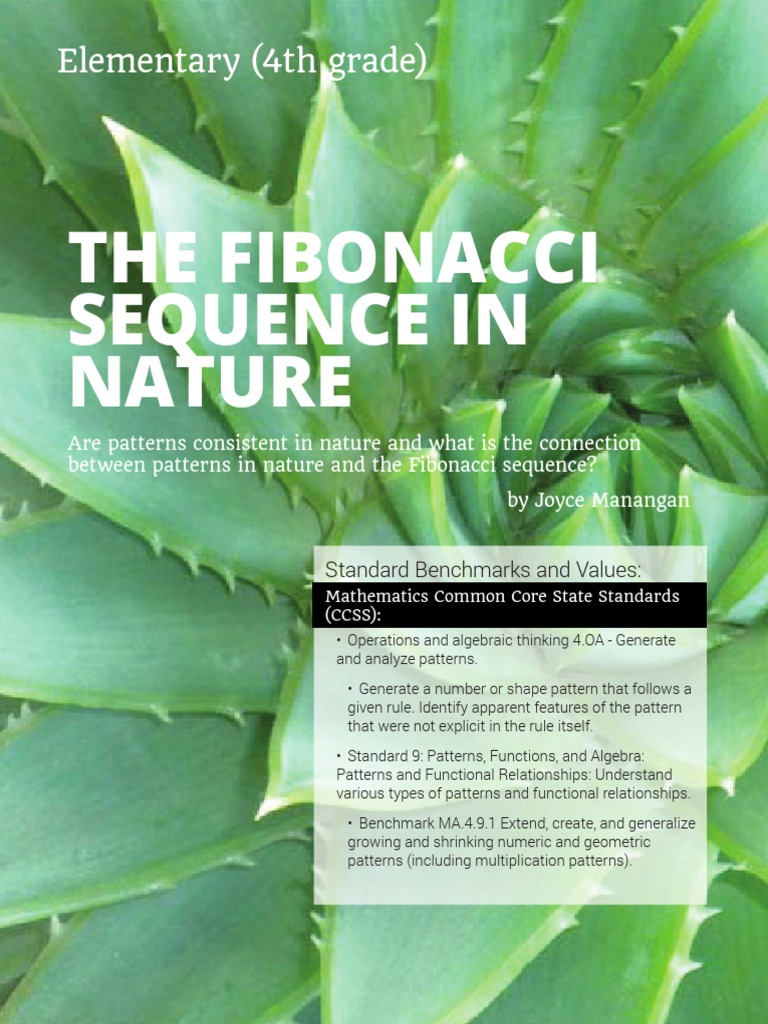 Elementary Fibonacci PDF | PDF | Sequence | Flowers Elementary Fibonacci PDF | PDF | Sequence | Flowers