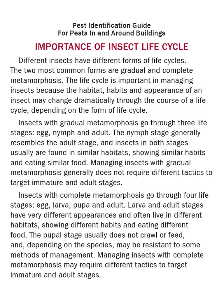 Importance of Insect Life Cycle: Pest Identification Guide For Pests in ...