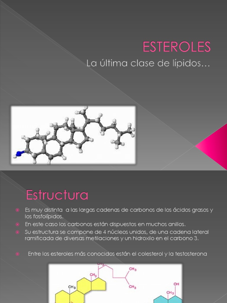 Esteroles 6 5 | PDF | Colesterol | Lípido