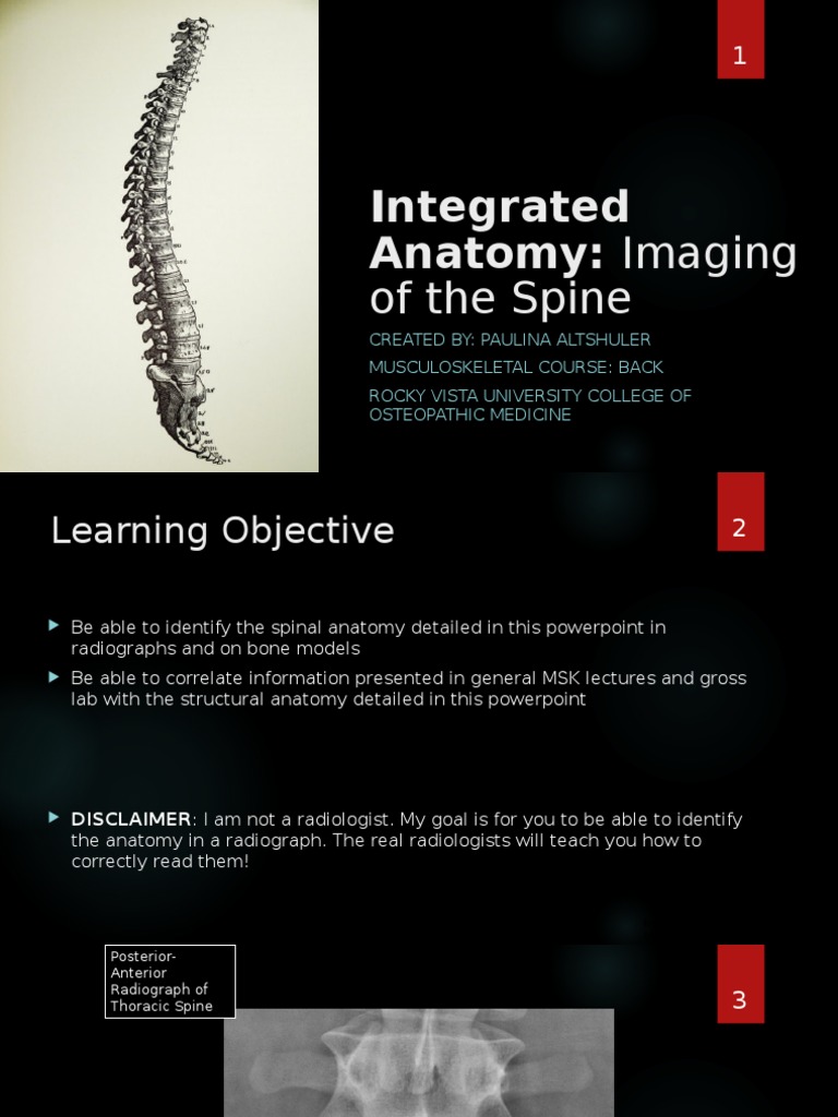 Integrated Anatomy: Imaging: of The Spine | PDF | Vertebra | Vertebral ...