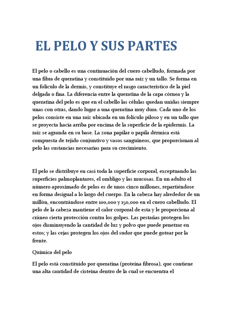 Estructura y partes del cabello | PDF | Pelo | Rubio
