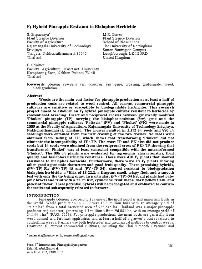 Acta Horticulturae 10 F1 Hybrid Pineapple Resistant To Bialaphos ...