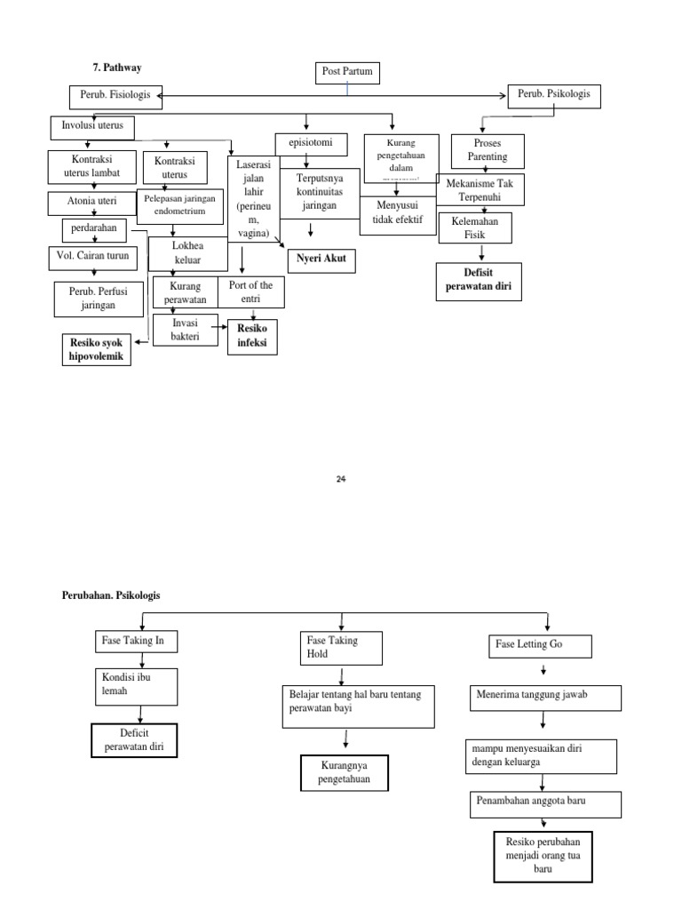 Pathway Post Partum | PDF