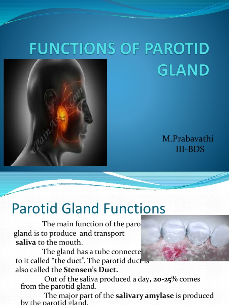 Functions of Parotid Gland | PDF | Saliva | Mouth