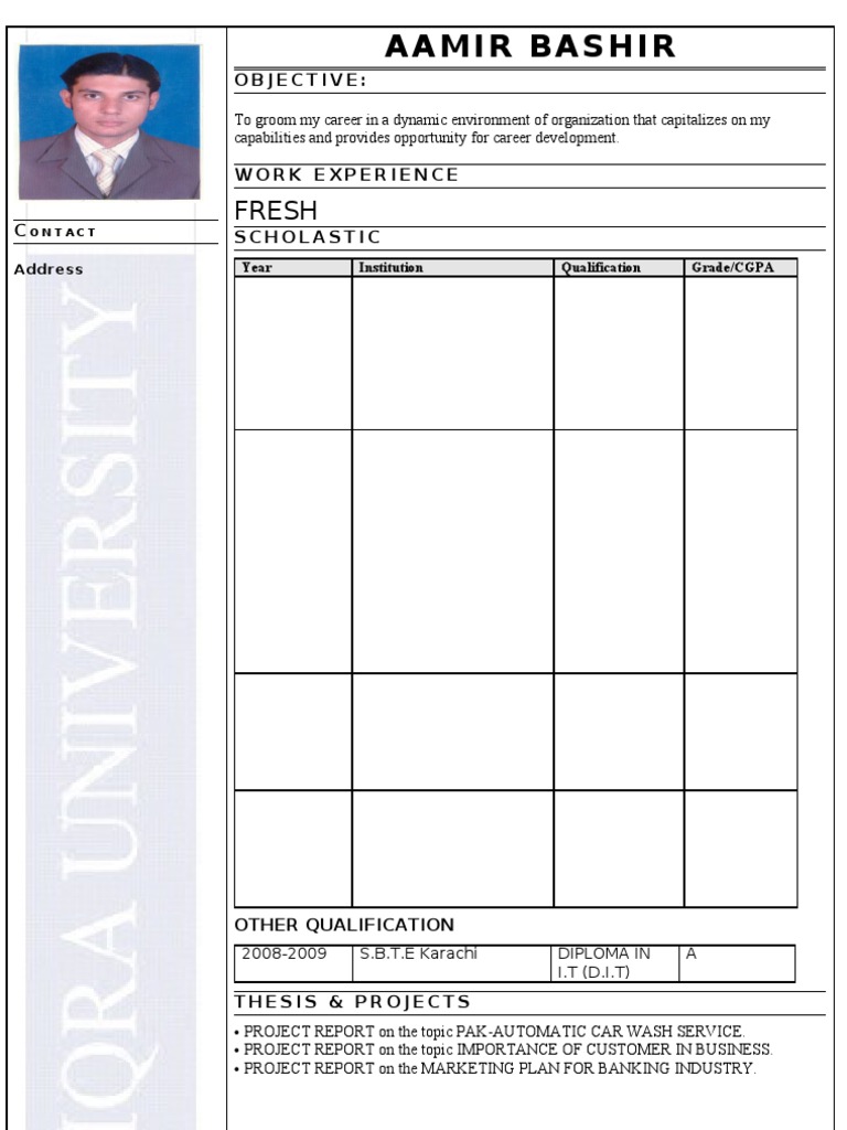 Aamir Bashir CV IU Frmat | PDF | Career & Growth