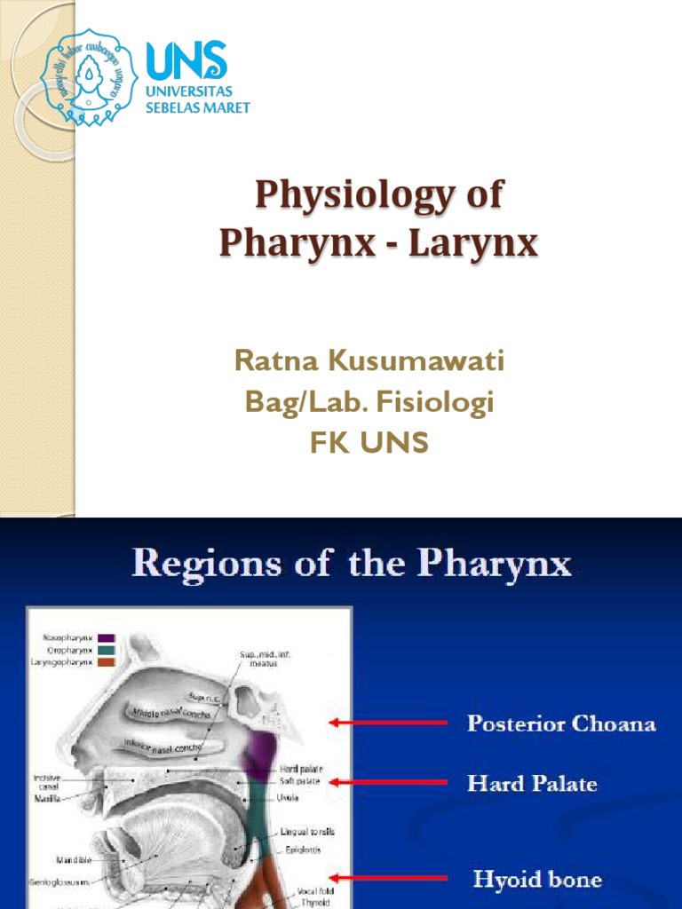 Physiology of Pharynx - Larynx: Ratna Kusumawati Bag/Lab. Fisiologi FK ...