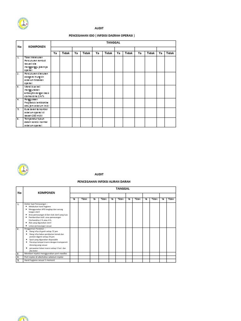 Formulir Audit Ppi | PDF